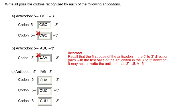 Solved Write all possible codons recognized by each of the | Chegg.com