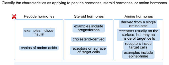 Solved Classify the characteristics as applying to peptide | Chegg.com