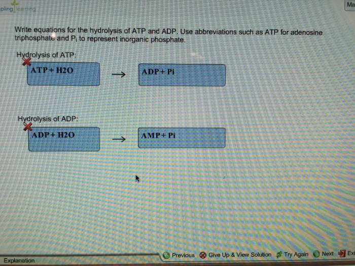 Solved Write equationns for the hydrolysis of ATP and ADP. | Chegg.com