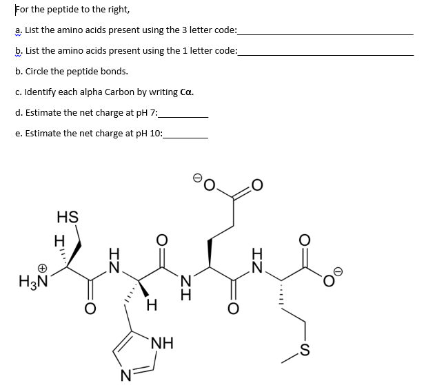 Solved For the peptide to the right, List the amino acids | Chegg.com