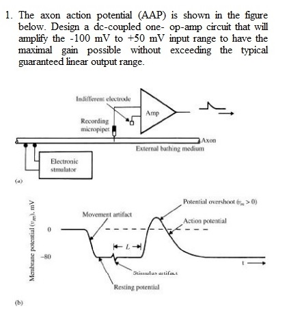 Solved The axon action potential(AAP) is shown in figure 4.1 | Chegg.com