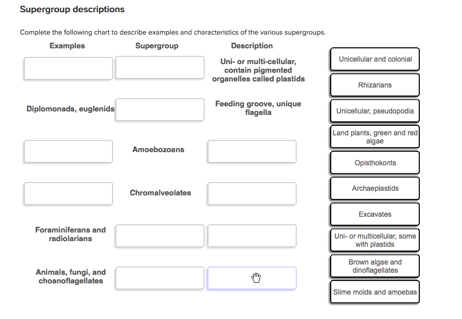 Biology Archive | February 03, 2017 | Chegg.com