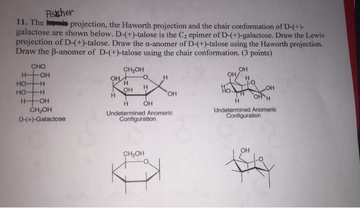 Solved The Fischer projection, the Haworth projection and | Chegg.com