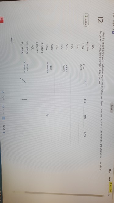 Solved Help Sae4Ms Label this image to test your | Chegg.com