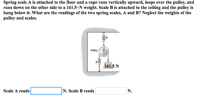 Solved Spring scale A is attached to the floor and a rope | Chegg.com