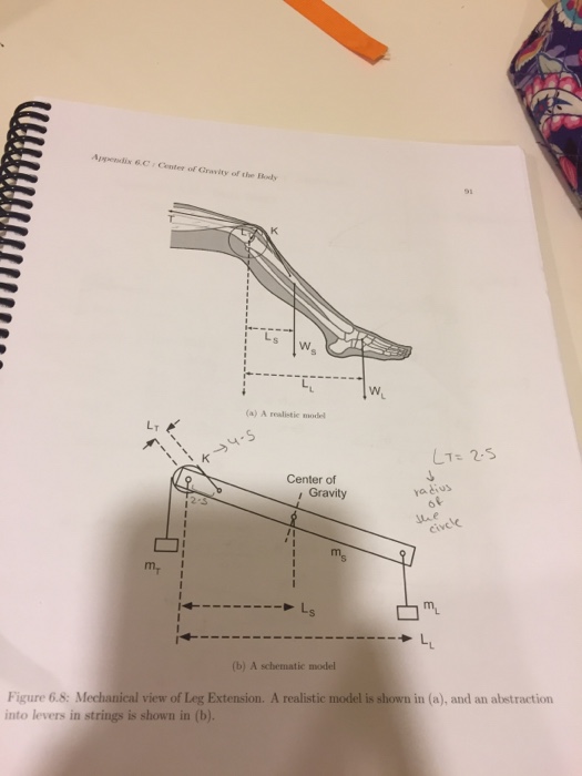 Solved I calculated the Torque on the leg for both casses | Chegg.com