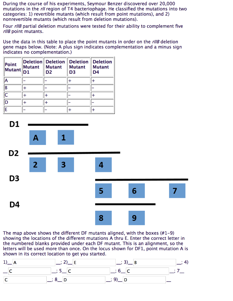 Solved During the course of his experiments, Seymour Benzer | Chegg.com