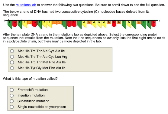 Solved Use the mutations lab to answer the following two | Chegg.com