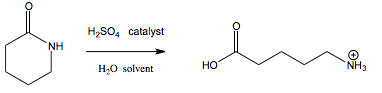 Solved H2SO4 catalyst NH H20 solvent NH3 | Chegg.com