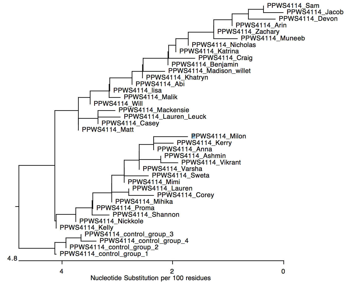 how do you find patient 0 from a phylogenetic tree? | Chegg.com