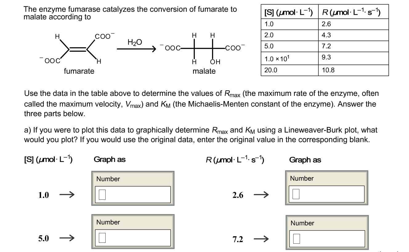 Solved The enzyme fumarase catalyzes the conversion of | Chegg.com