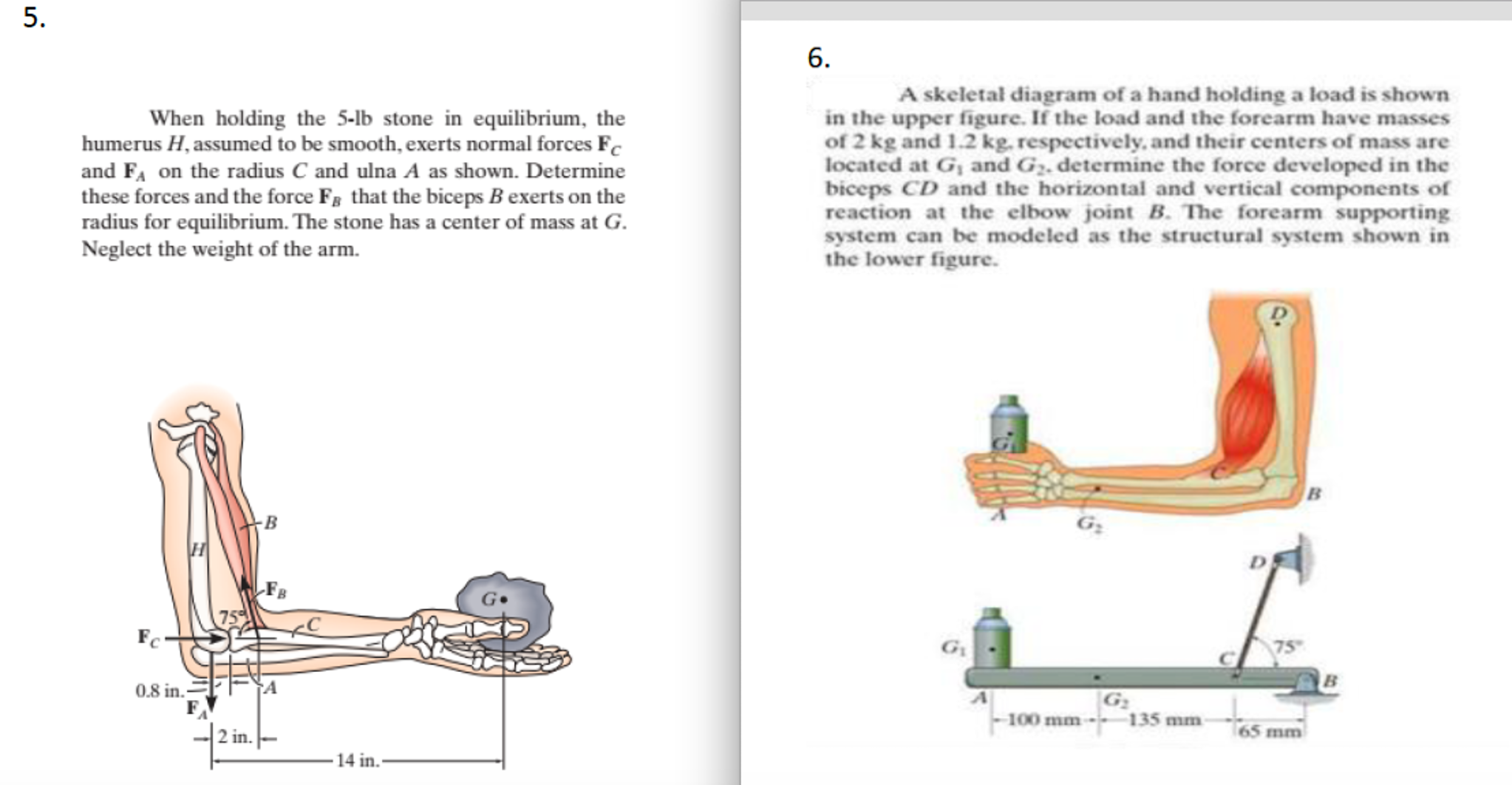 Solved When Holding The 5 lb Stone In Equilibrium The Chegg solved-when-holding-the-5-lb-stone-in-equilibrium-the-chegg