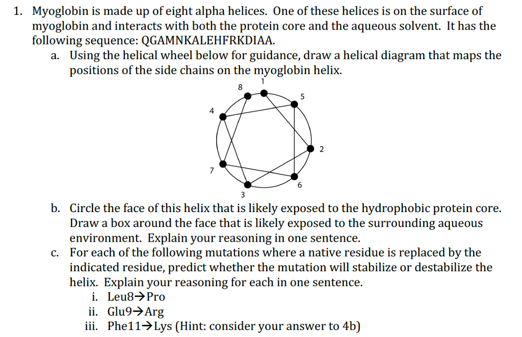 Myoglobin is made up of eight alpha helices. One of | Chegg.com