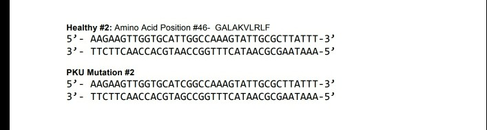 Solved Directions: Just as in class, after finding the | Chegg.com