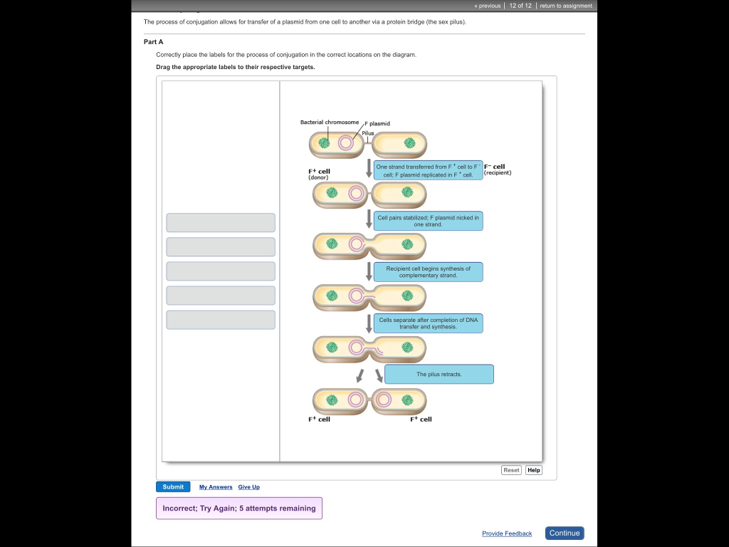 Solved previous | 12 of 12 I return to assignment The | Chegg.com