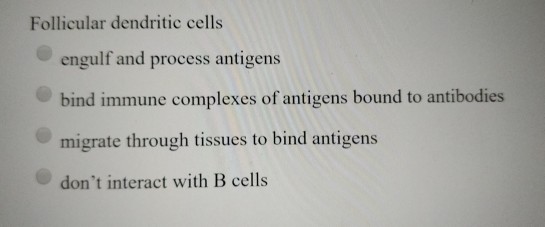 Solved Follicular dendritic cells engulf and process | Chegg.com