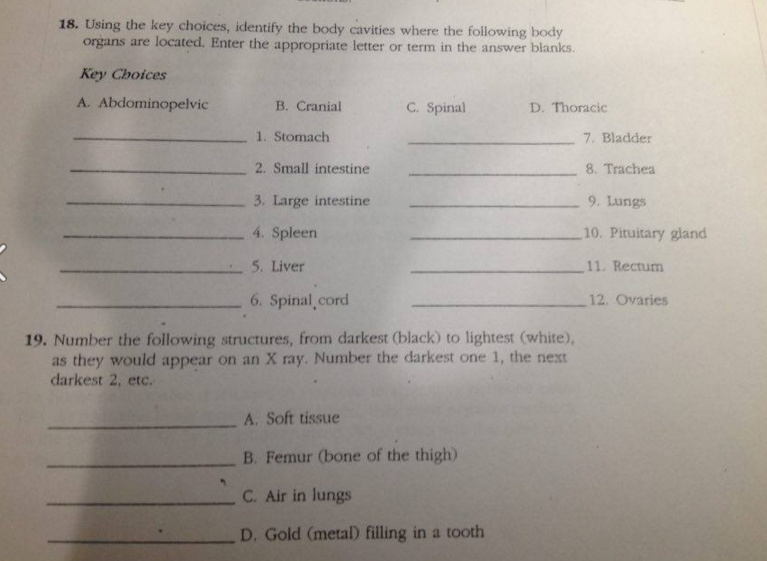 Solved Using the key choices, identify the body cavities | Chegg.com
