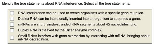 Solved Identify the true statements about RNA interference. | Chegg.com