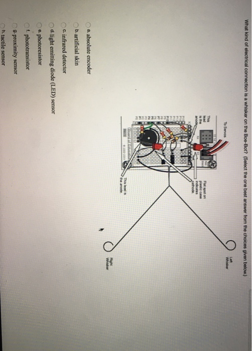 Solved What kind of electrical connection is a whisker on | Chegg.com