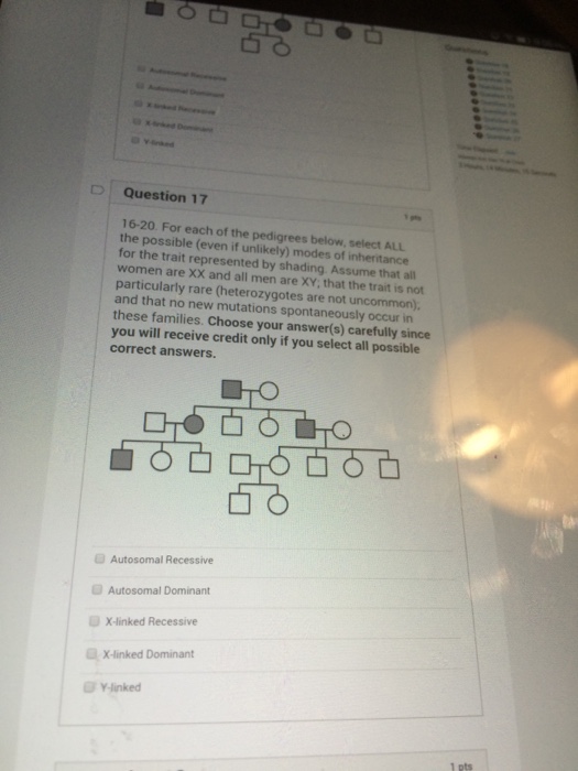 Solved For each of the pedigrees below, select ALL the | Chegg.com