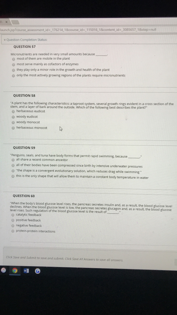 Solved launch.jsp?course assessment | Chegg.com