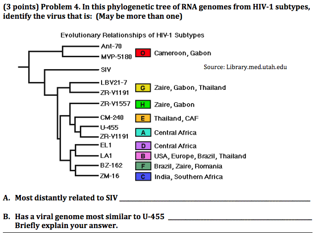 Solved In this phylogenetic tree of RNA genomes from HIV-1 | Chegg.com