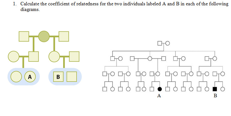 Solved 1. Calculate the coefficient of relatedness for the | Chegg.com