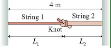 Solved String 1 in the figure has linear density 2.90 g/m | Chegg.com