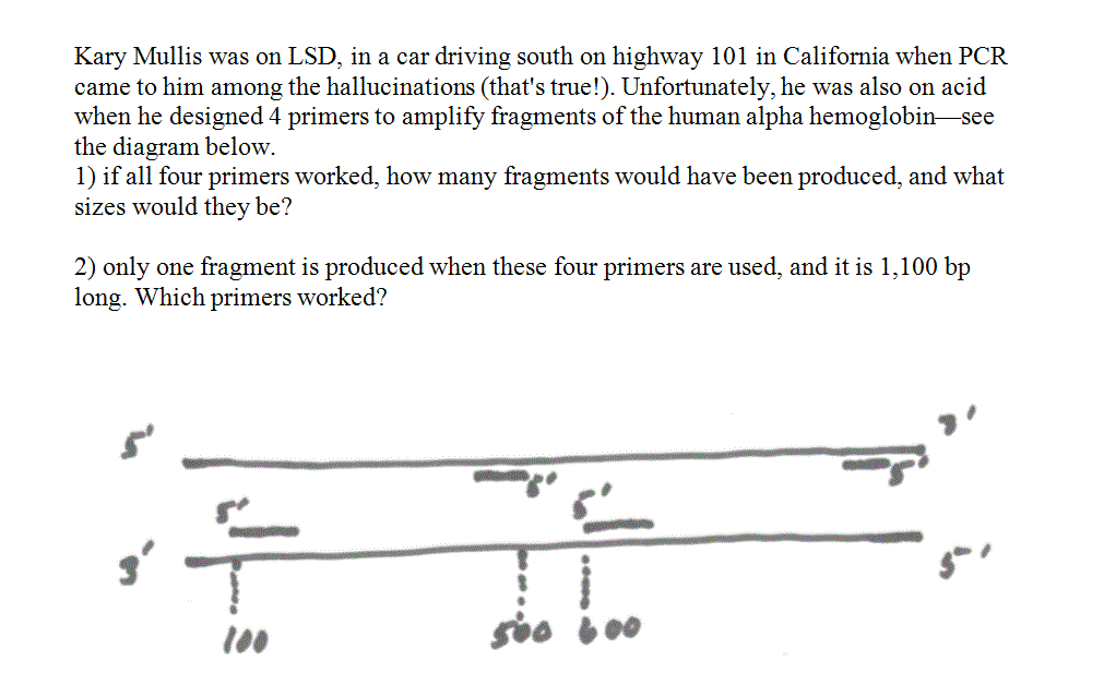 Solved Kary Mullis was on LSD. in a car driving south on | Chegg.com
