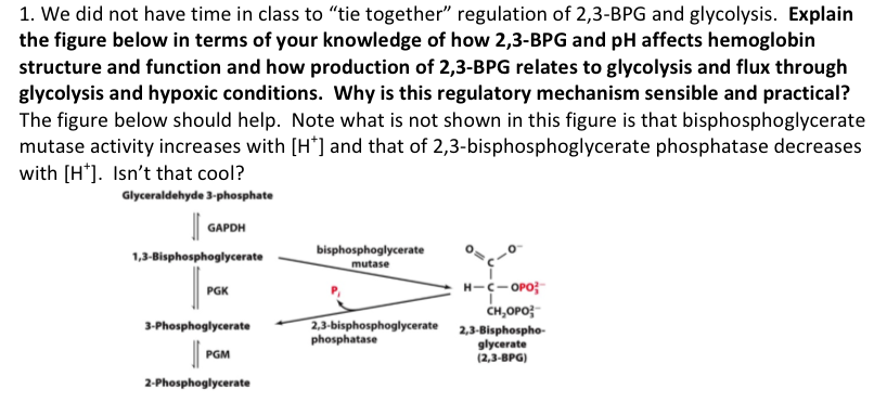 Solved Biochem question--I get the jist of it, but I want to | Chegg.com