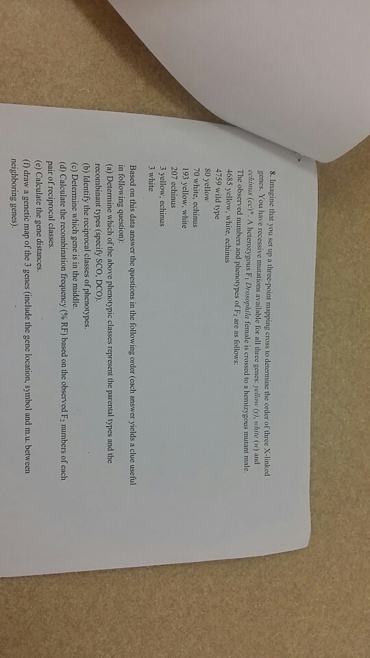 Solved Imagine that you set up a three-point mapping cross | Chegg.com