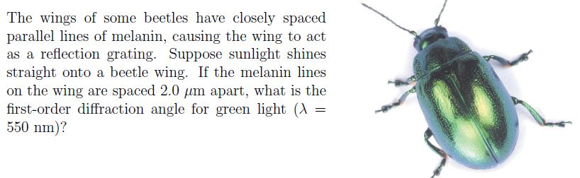 Solved The wings of some beetles have closely spaced | Chegg.com