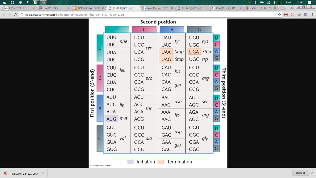 Solved Part C - How does each SNP affect the amino acid | Chegg.com