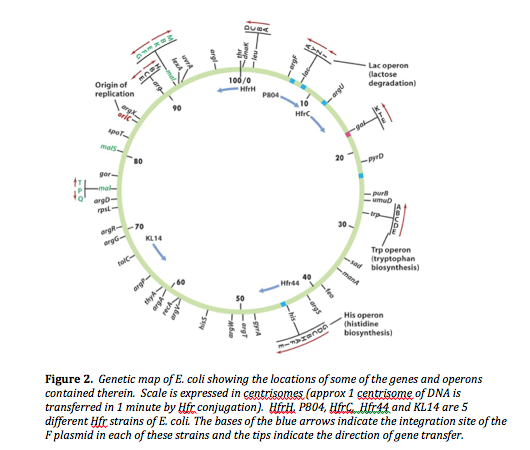 Solved Refer to the genetic map of E. coli K-12 (Figure | Chegg.com