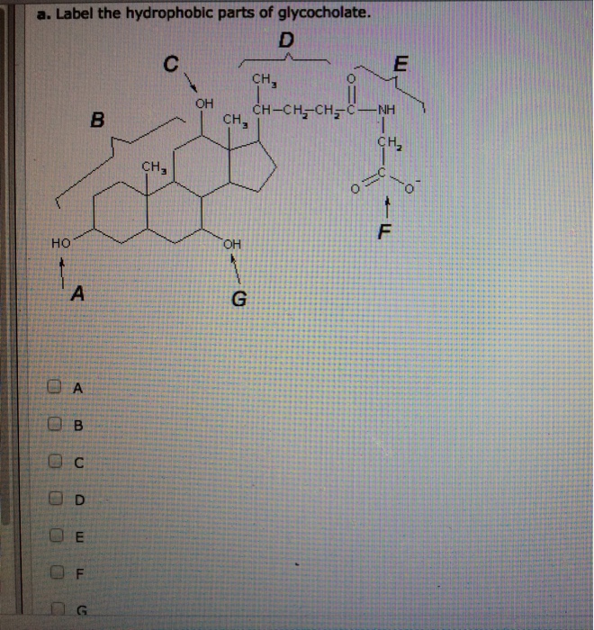 Solved a. Label the hydrophobic parts of glycocholate. CH OH | Chegg.com