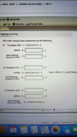 Solved Fill in the missing base sequences for the following: | Chegg.com