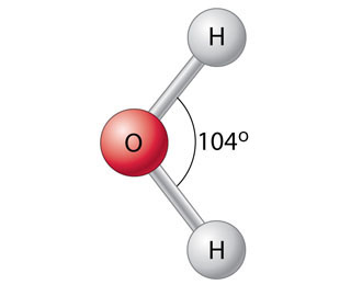 Solved The figure illustrates an H2O molecule. The O?H bond | Chegg.com