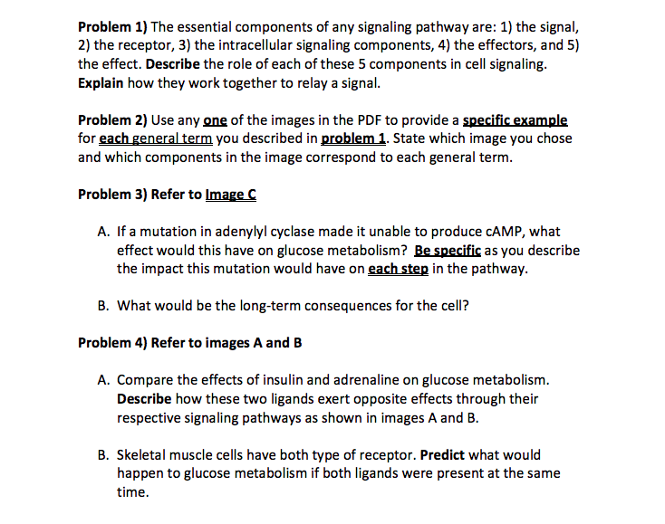 Solved Problem 1) The essential components of any signaling | Chegg.com