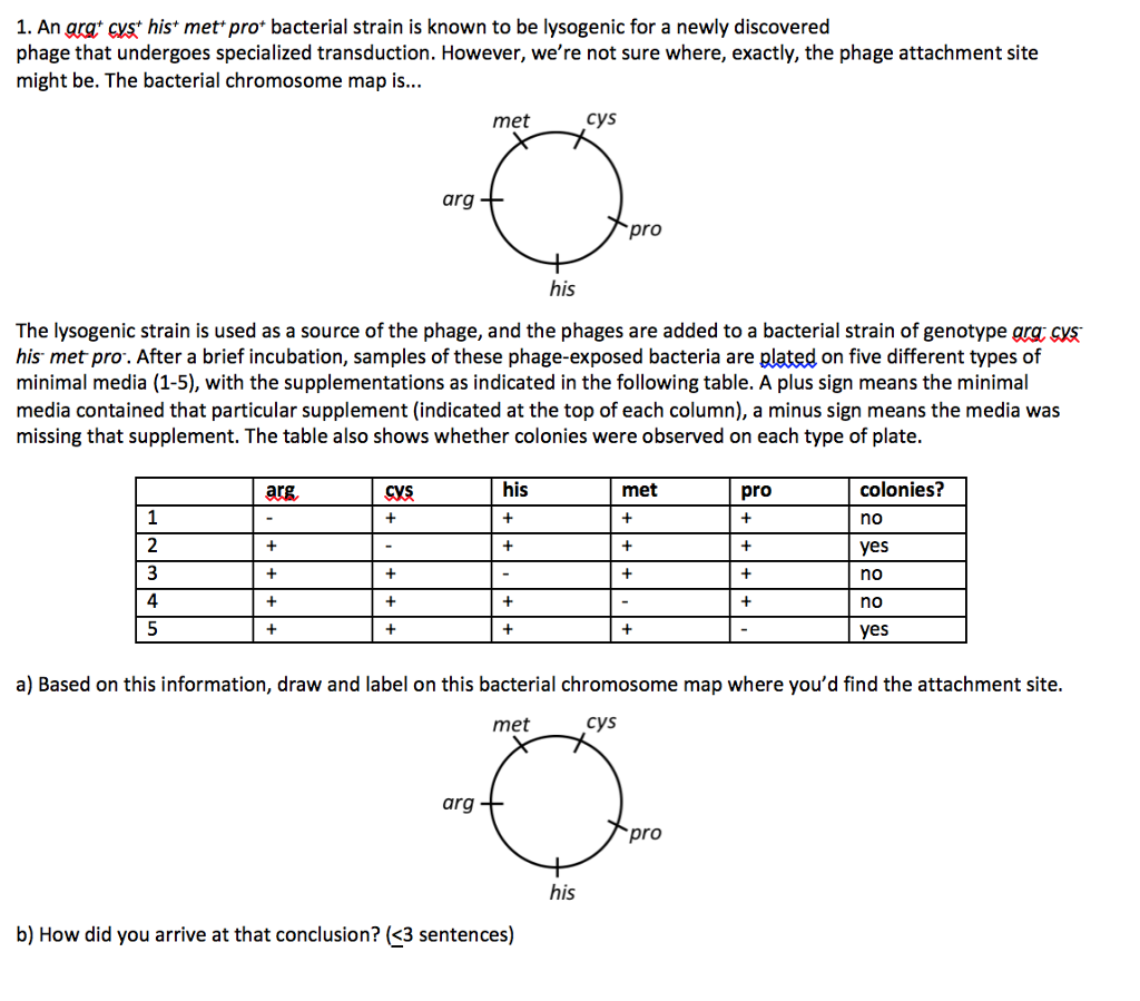 Solved An arg^+ cys^+ his^+ met^+ pro^+ bacterial strain is | Chegg.com