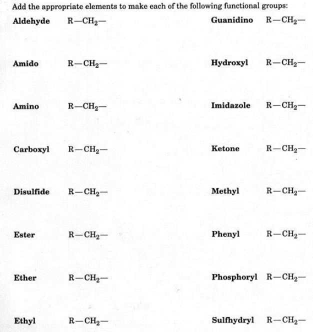 Amido Functional Group