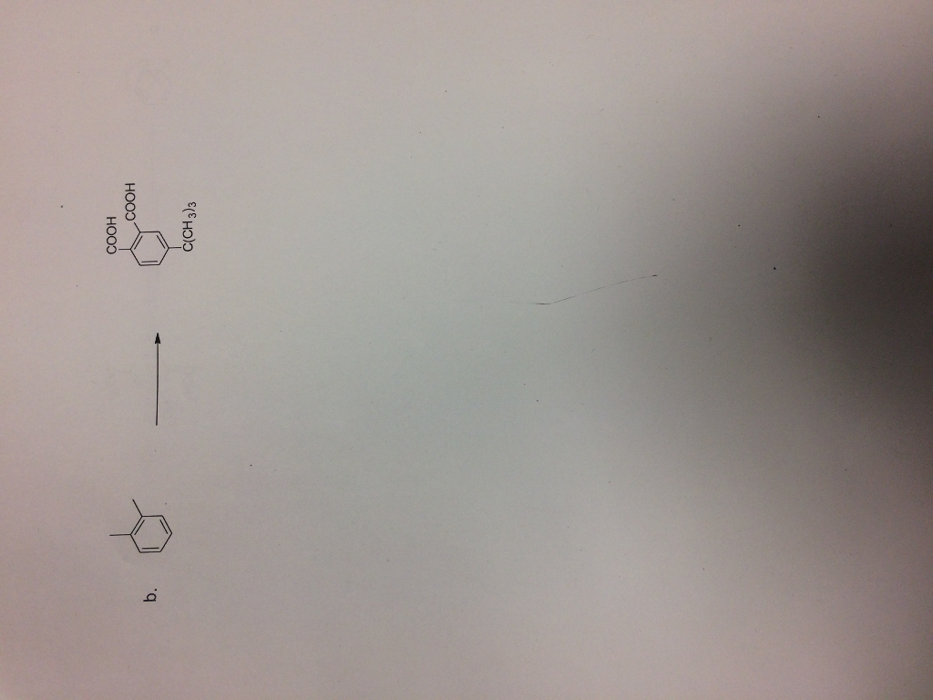 Solved COOH COOH C(CH 3 3) | Chegg.com