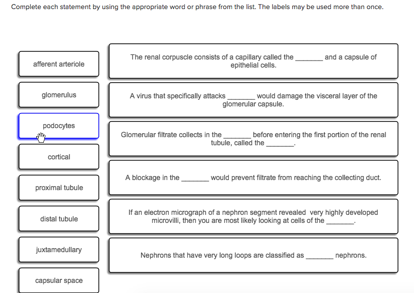 Solved Complete each statement by using the appropriate word | Chegg.com