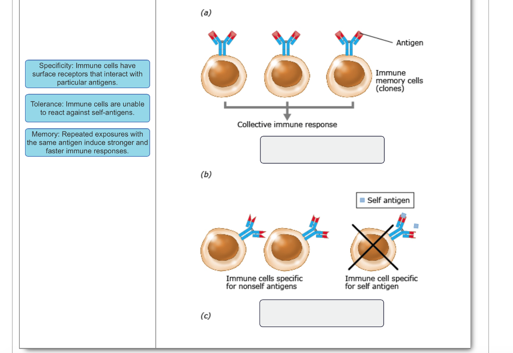 Solved Correctly identify each characteristic trait of an | Chegg.com