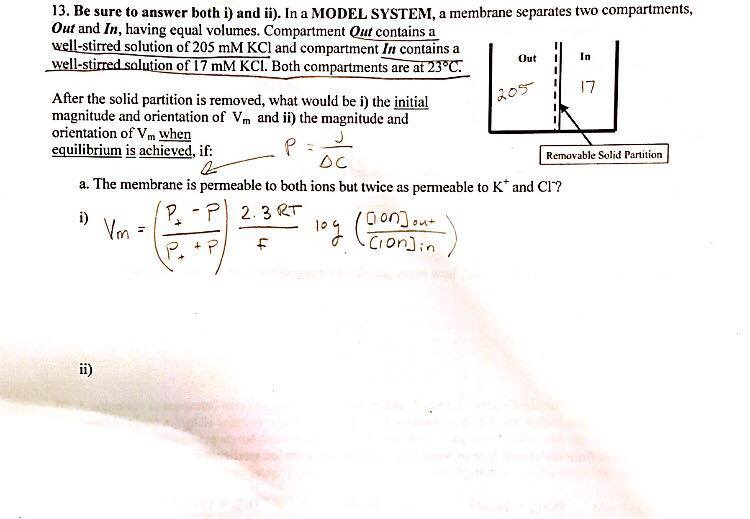 13. Be sure to answer both i) and ii). In a MODEL | Chegg.com