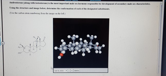 Solved Androsterone (along with testosterone) is the most | Chegg.com