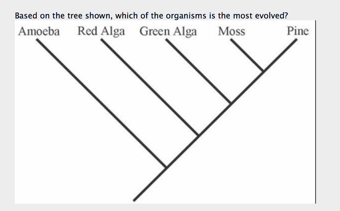 Solved Based on the tree shown, which of the organisms is | Chegg.com