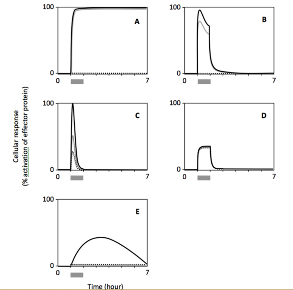 Solved In the following graphs, the cellular response, as | Chegg.com