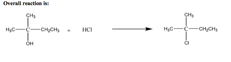 Solved Halide Test Standard Rxn Product observation White | Chegg.com