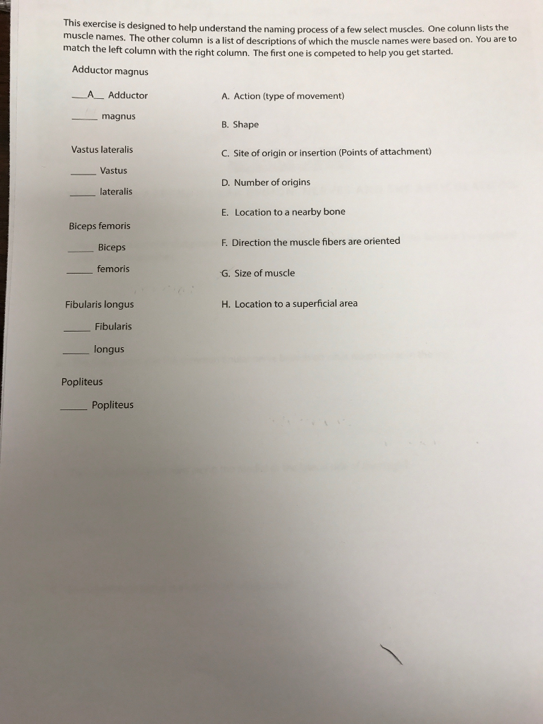 Solved This exercise is designed to help understand the | Chegg.com