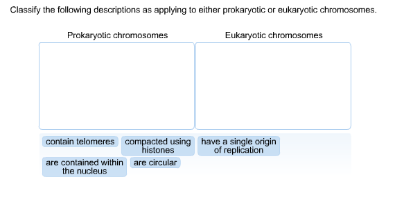 Solved Classify the following descriptions as applying to | Chegg.com